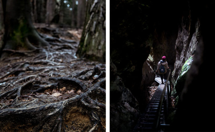 The Painters' Way | Our Malerweg Guide - What if we walked?